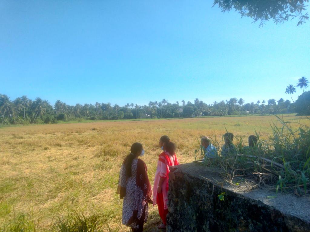 ICAR- KVK Thrissur- Scientists visit to farmers fields on crop loss due ...